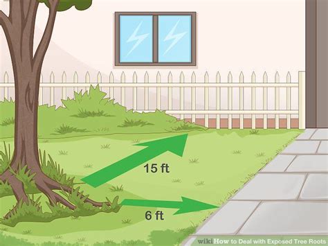 Ways To Deal With Exposed Tree Roots Tree Roots Backyard Trees Garden Soil Mix