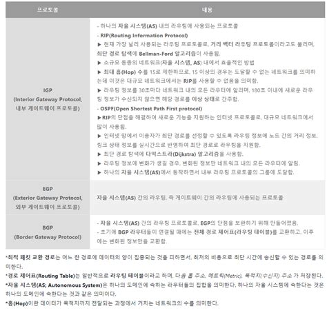 정치기 실기 암기 11 응용 sw 기초 기술 활용