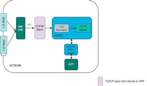 10 tls proxy with nginx — data accelerator offload 25 05 0 documentation