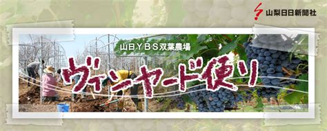 山日ybs双葉農場 ヴィンヤード便り：トップページ