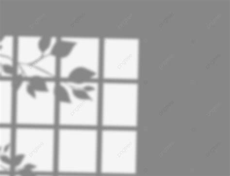 미적 창 그림자 오버레이 효과 창문 배경 검은 Png 일러스트 및 벡터 에 대한 무료 다운로드 Pngtree