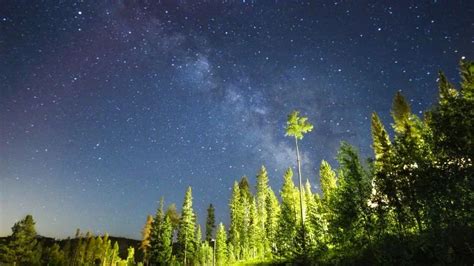 Sát Phá Lang Là Gì Mệnh Cục Mũi Nhọn đặc Biệt Trong Tử Vi đẩu Số