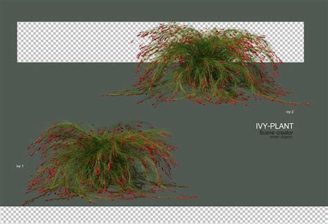 Premium Psd 3d Render Ivy With Colorful Flowers