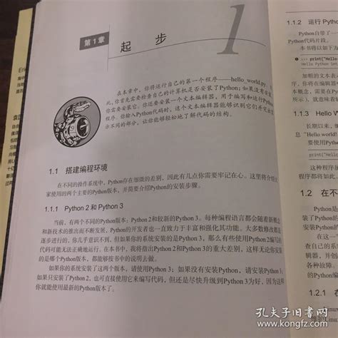 Python编程：从入门到实践 美 埃里克·马瑟斯（eric Matthes） 著；袁国忠 译孔夫子旧书网
