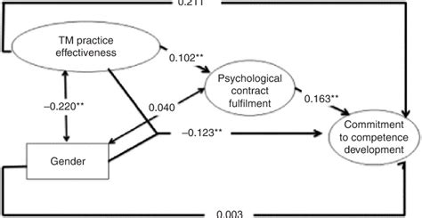 final model results for structural regression model with standardized