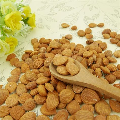 Hps Bitter Apricot Kernels Almond Apricot Pit Raw Almonds