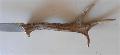 Cutit Cu Maner Din Corn De Cerb Caraci • Olx Ro