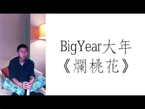 Bigyear大年烂桃花 歌词 都市夜色 YouTube