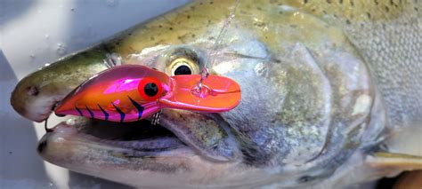 Mark Ervig Ol Faithful Facebook