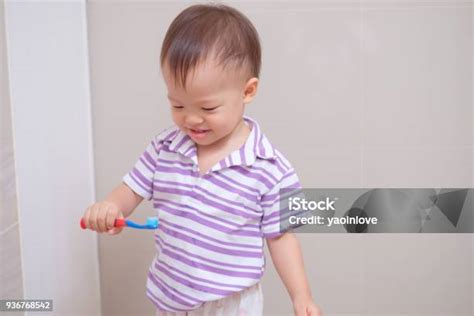 귀여운 작은 아시아 18 개월 1 년 오래 된 미소 유아 소년 아이 입고 보라색 셔츠 지주 칫 솔과 양치질을 배울합니다 2 3 살에 대한 스톡 사진 및 기타 이미지 Istock