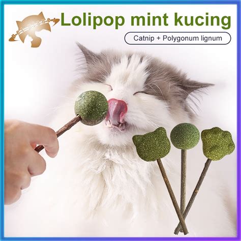 Jual Catnip Cat Lollipop Cats Toy Cat Mint Snacks Shopee Indonesia