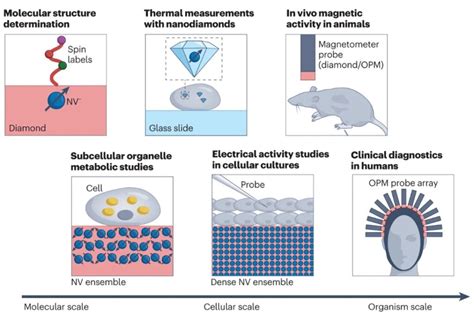 What Are Quantum Sensors