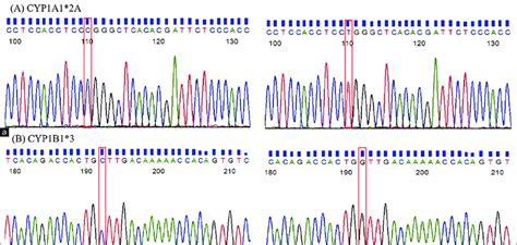 Representative Chromatogram Of Corresponding Dna Sequence Showing