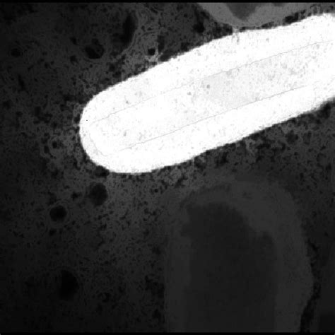 Example Of View Plus Depth Image Format And Virtual View Rendering No