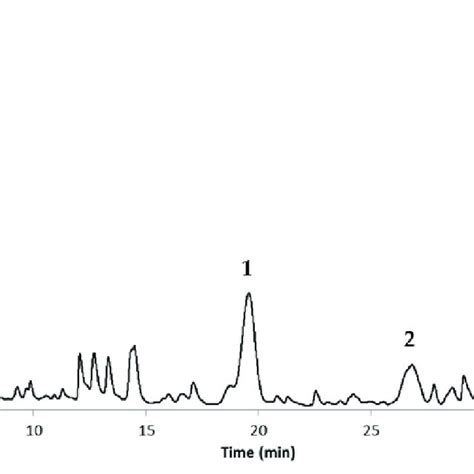 Rp Hplc Profile At 280 Nm Main Compounds Present In Methanolic Download Scientific Diagram