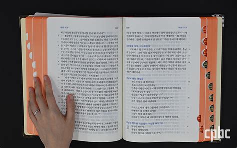 천주교 신자가 개신교 성경을 읽어도 상관없나요 자주묻는질문 대치2동성당