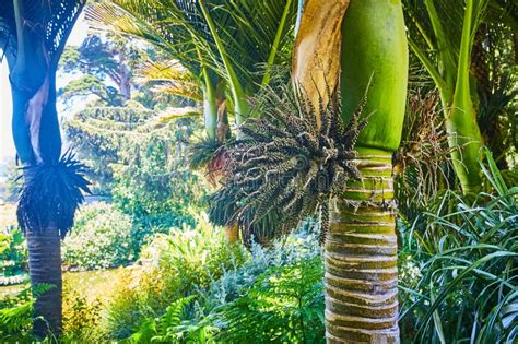 Odd Protrusion Stock Photos Free Royalty Free Stock Photos From Dreamstime