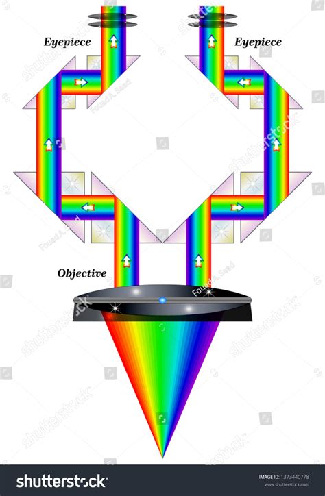 Stereoscopic Microscope Stereo Microscope Magnification Stock Vector Royalty Free 1373440778