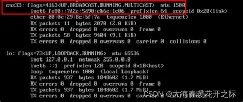 Linux入门级教程（一）。linux入门基础教程 Csdn博客