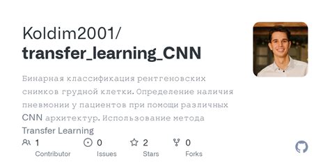 GitHub Koldim transfer learning CNN Бинарная классификация рентгеновских снимков грудной