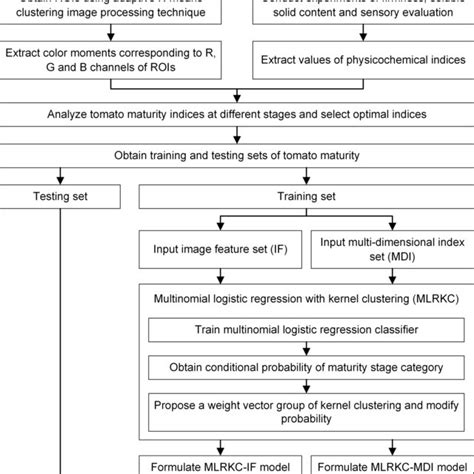 Flow Chart Of Tomato Maturity Identification Methods Download