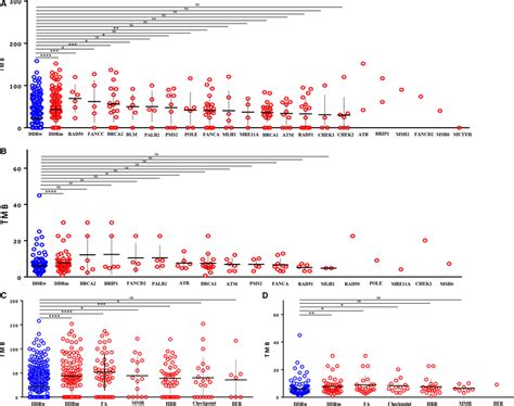 Correlations Between Ddr Gene Mutations And Tumor Mutation Burden A