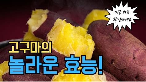 고구마의 놀라운 효능 Youtube