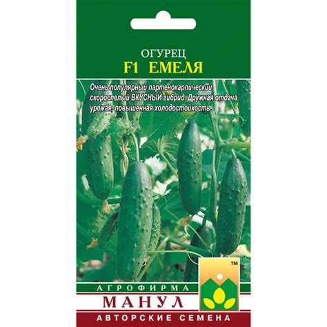 Огурцы Агрофирма манул Емеля_Манул - купить по выгодным ценам в ...