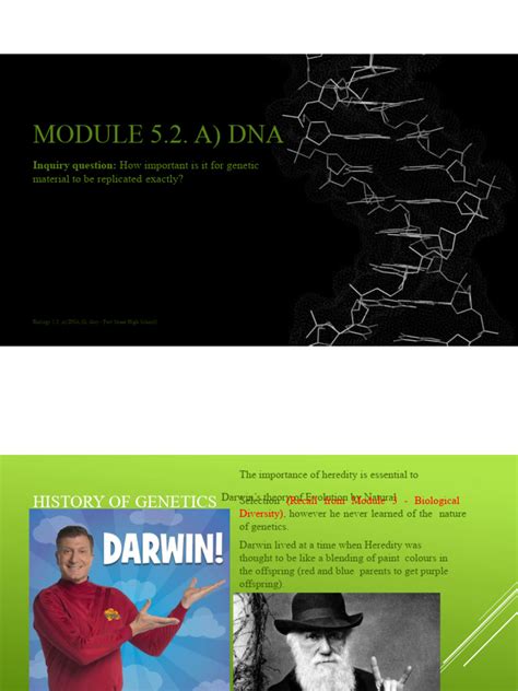 Pdf Module 52 A Dna Pdf Dna Replication Dna