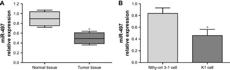 Relative Expression Of Mir 497 In Tumor Tissues And Cells By Qrt Pcr
