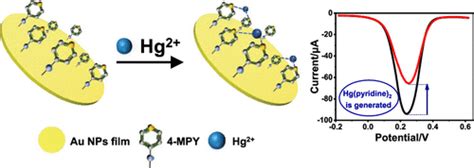 Boron Doped Diamond Modified With 4 Mercaptopyridine Functionalized Gold Nanoparticles For Trace
