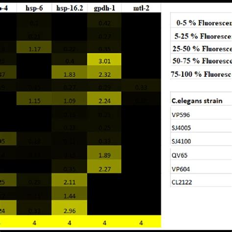 Fluorescence Microscopy Of Affected C Elegans Treated With 6 To 10
