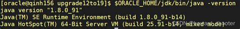 oracle 12c （12 1 0 2 12 2 0 1）升级 19c（19 3 0 0） oracle12c升级到19c csdn博客