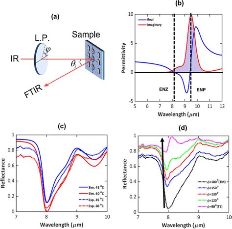 A Schematic Of The Experimental Reflectance Setup φ Is The