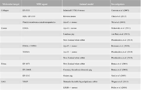 Classification Of The Novel Ecm Targeting Probes Discussed In This Download Scientific Diagram