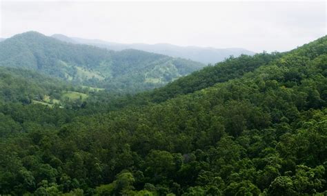 Ecological Restoration