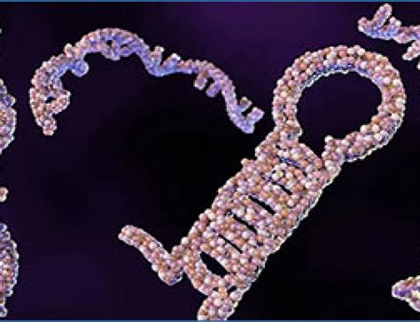 Predict A To I Editing From A Single Rna Seq Data Set Of Modest Sequencing Depth Rna Seq Blog