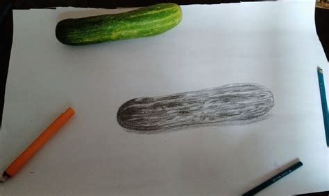 How To Draw A Realistic Cucumber