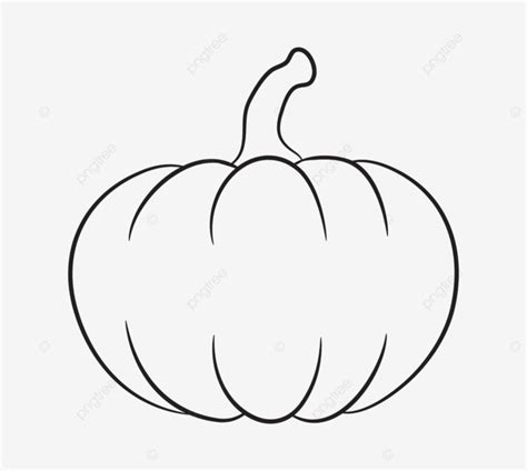 Isolated White Background With Vector Design Of Pumpkin Outline Vector