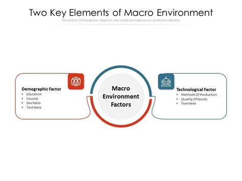 Two Key Elements Of Macro Environment Ppt Powerpoint Presentation