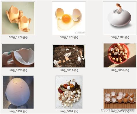垃圾分类数据集垃圾分类识别训练代码pytorch51cto博客垃圾分类 识别