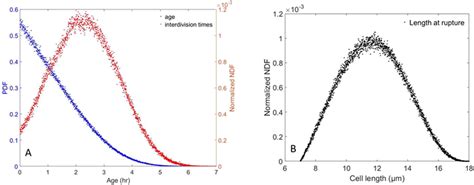 Montecarlo Simulation Results For Batch Culture In The Download Scientific Diagram
