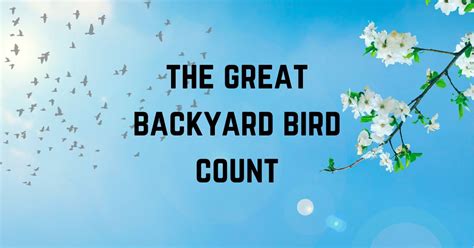 The Great Backyard Bird Count Lauri Ann West Community Center