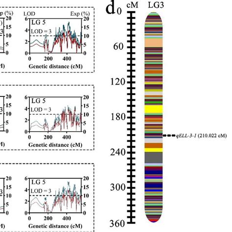 Qtls Identified For Leaf Length In Linkage Groups Three And Five
