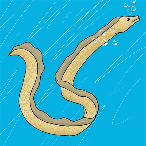 Northern Yellow Dotted Eel Terra Tales Wiki Fandom