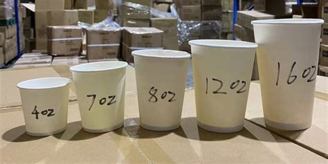 How Big Is A Cup Understanding Sizes In Eco Friendly Beverage