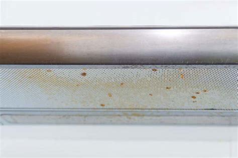 위에서 기름때 후드득” ‘이곳 청소 안 하면 식중독 위험까지