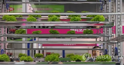 실내에서 효율적인 식물 재배