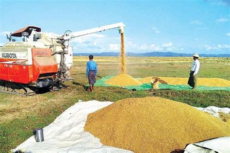 စပါးတင်း ၁၀၀ ၏ အခြေခံရည်ညွှန်းစျေးနှုန်းအား ၆၃၀၀၀၀ ကျပ်အဖြစ်သတ်မှတ် Popular