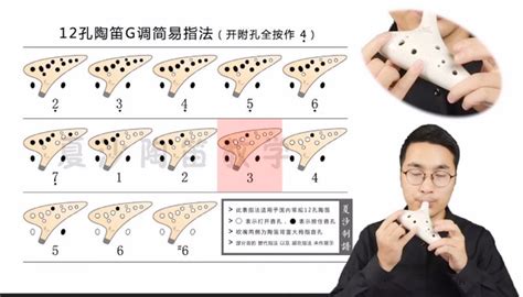 12孔陶笛筒音作4G调指法零基础入门精讲视频教学课程 教育 在线教育 好看视频